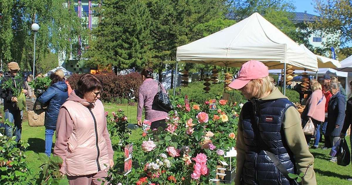 Дни саженцев в Елгаве – уже скоро | Novaja.lv